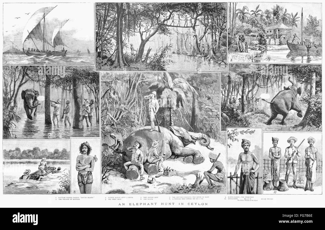 CEYLON: ELEPHANT HUNT. /nElephant hunting in Ceylon. English engraving ...