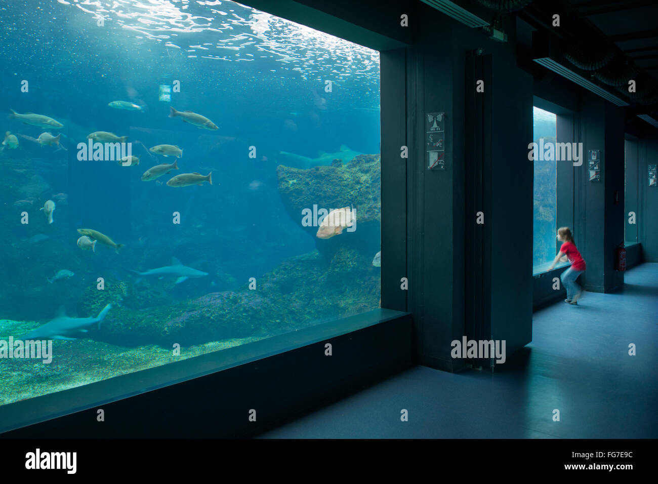 Griechenland, Kreta, Gournes, Cretaquarium Stock Photo - Alamy