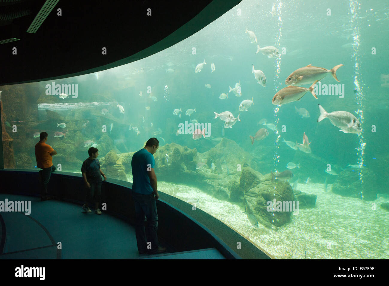 Griechenland, Kreta, Gournes, Cretaquarium Stock Photo - Alamy