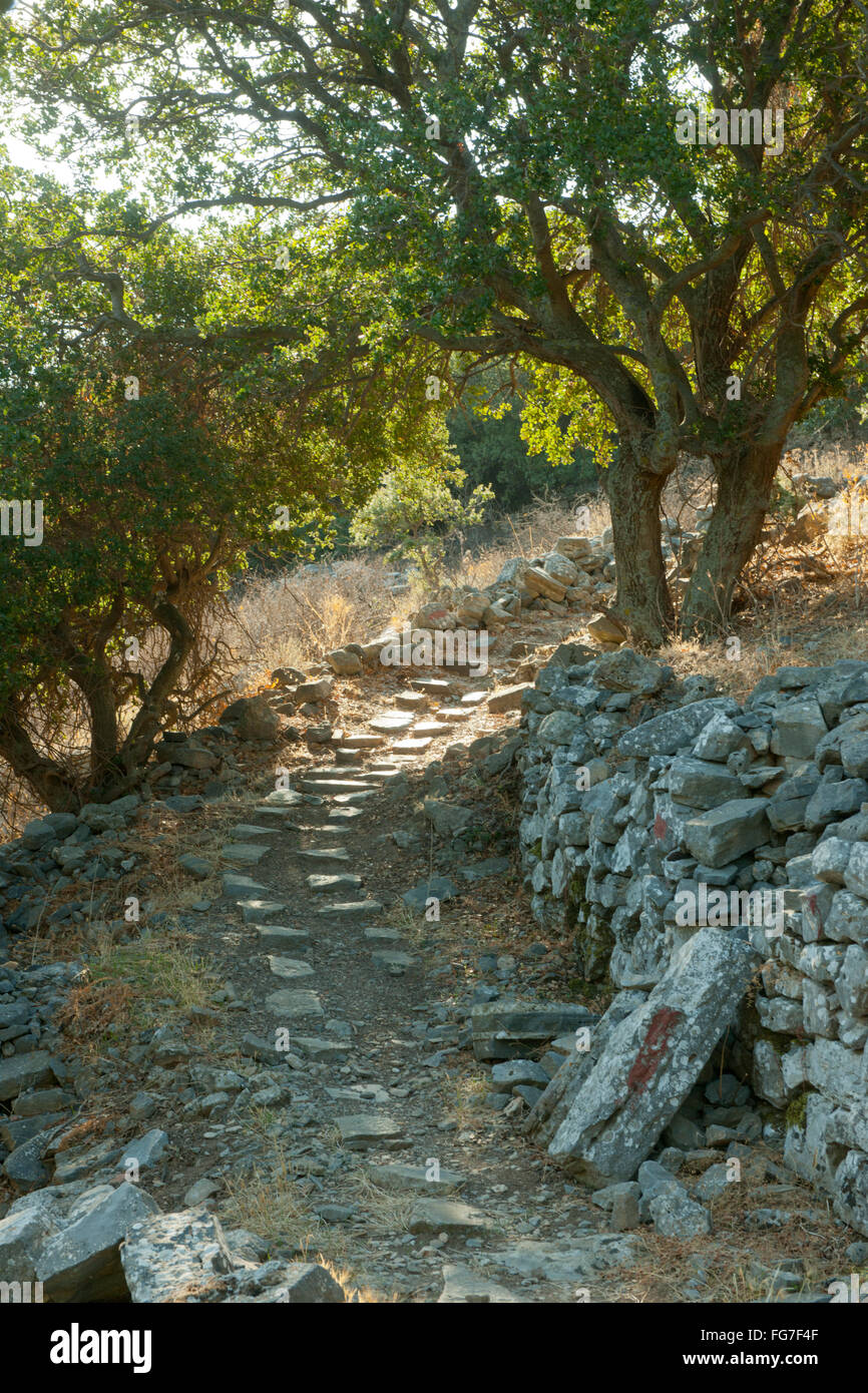 Neapoli crete hi-res stock photography and images - Alamy