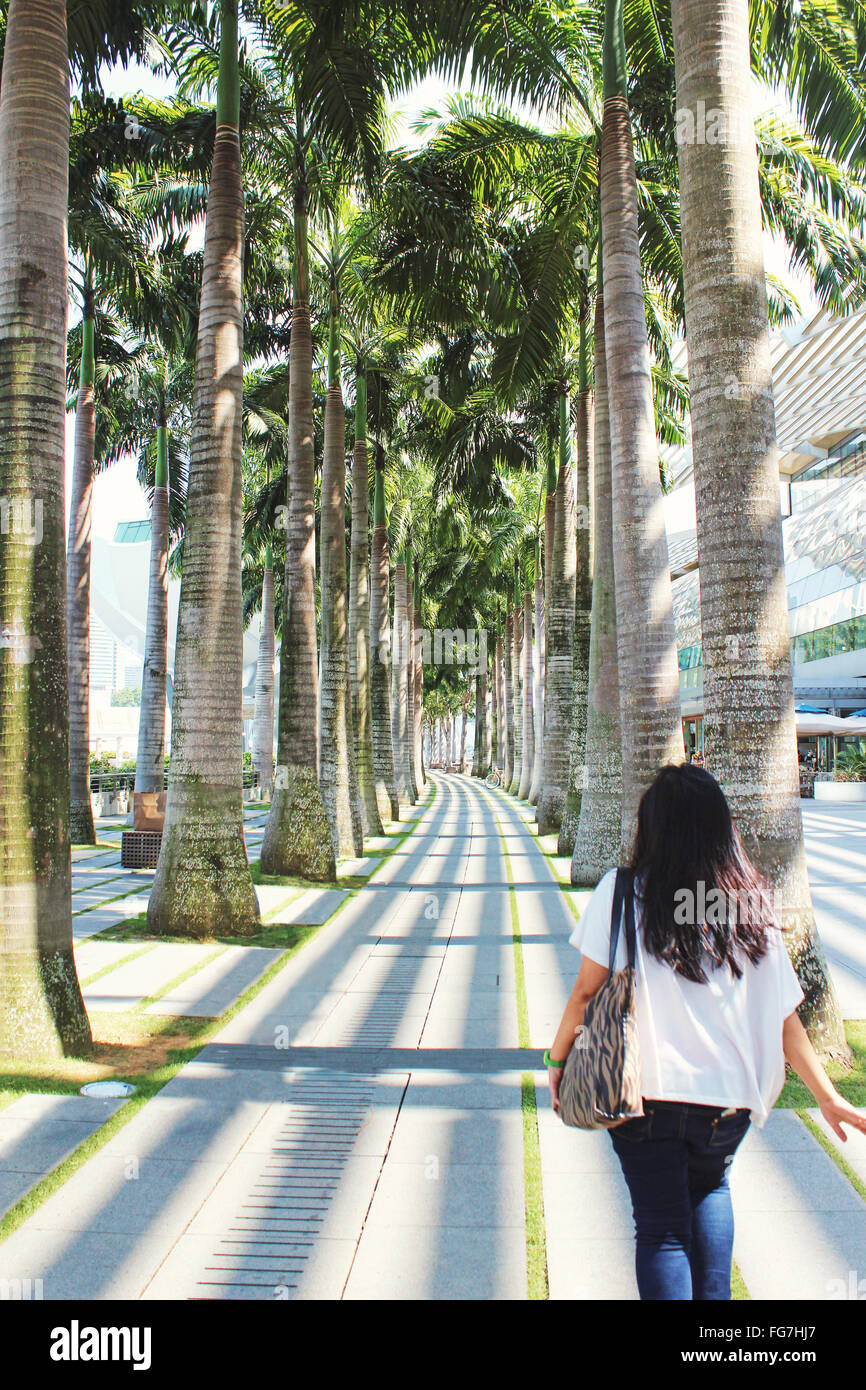 Walk path surrounded by palm trees in Marina Bay Singapore Stock Photo ...