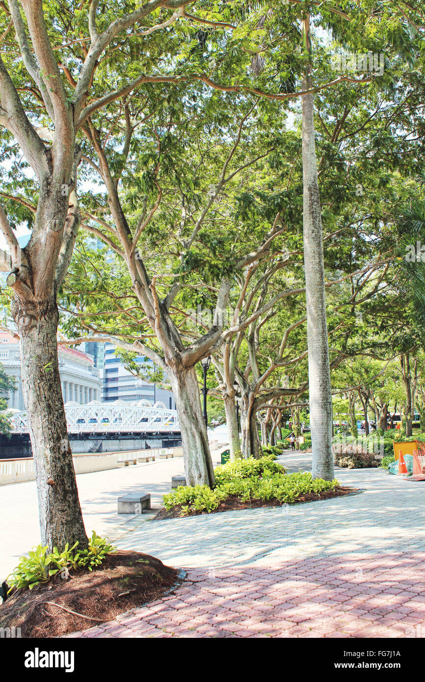 Curb/walk path in Singapore Stock Photo - Alamy