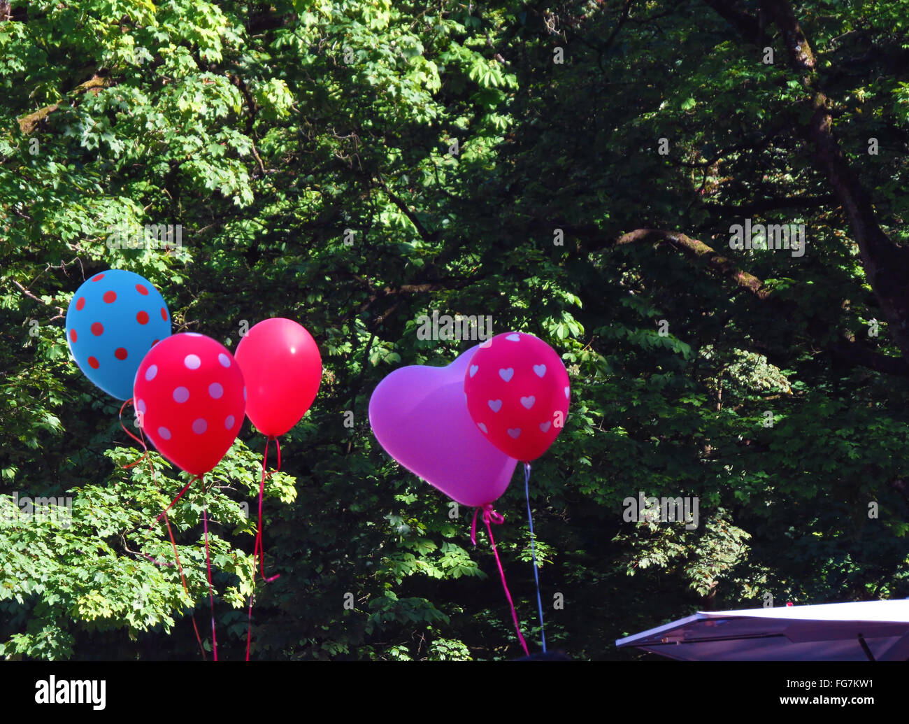 Balloons Against Trees In Park Stock Photo - Alamy