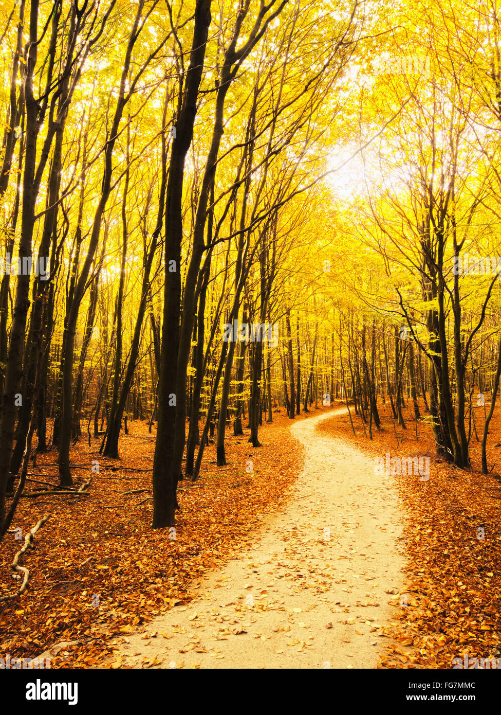 Autumn seafaring hi-res stock photography and images - Alamy