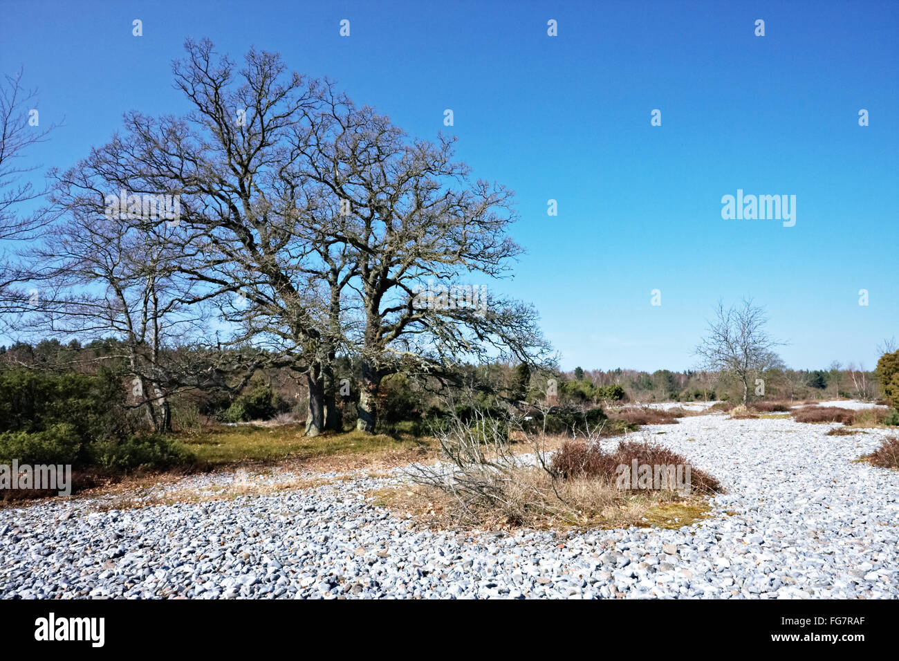 Flint fields hi-res stock photography and images - Alamy