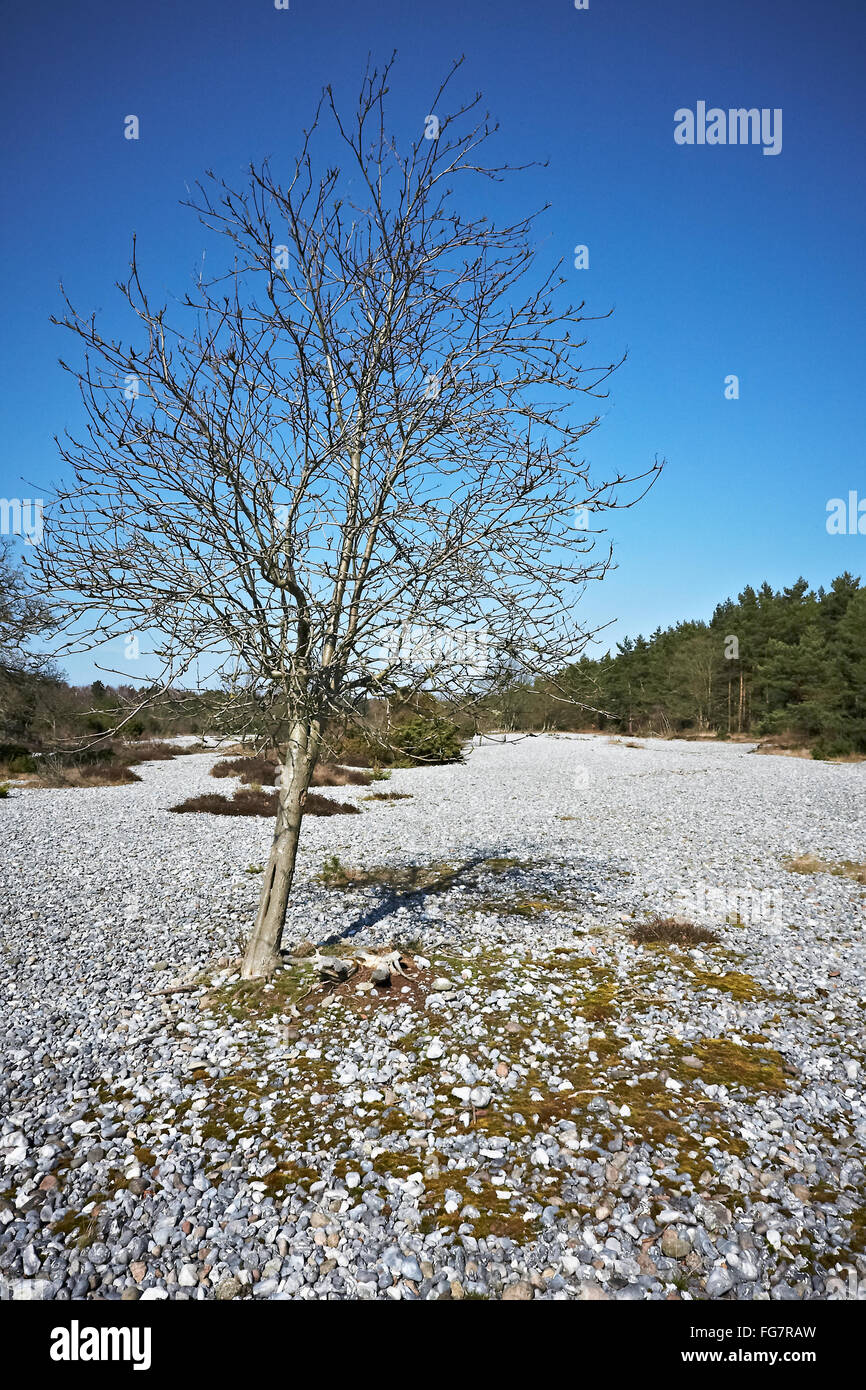 Sonderurlaub hi-res stock photography and images - Alamy