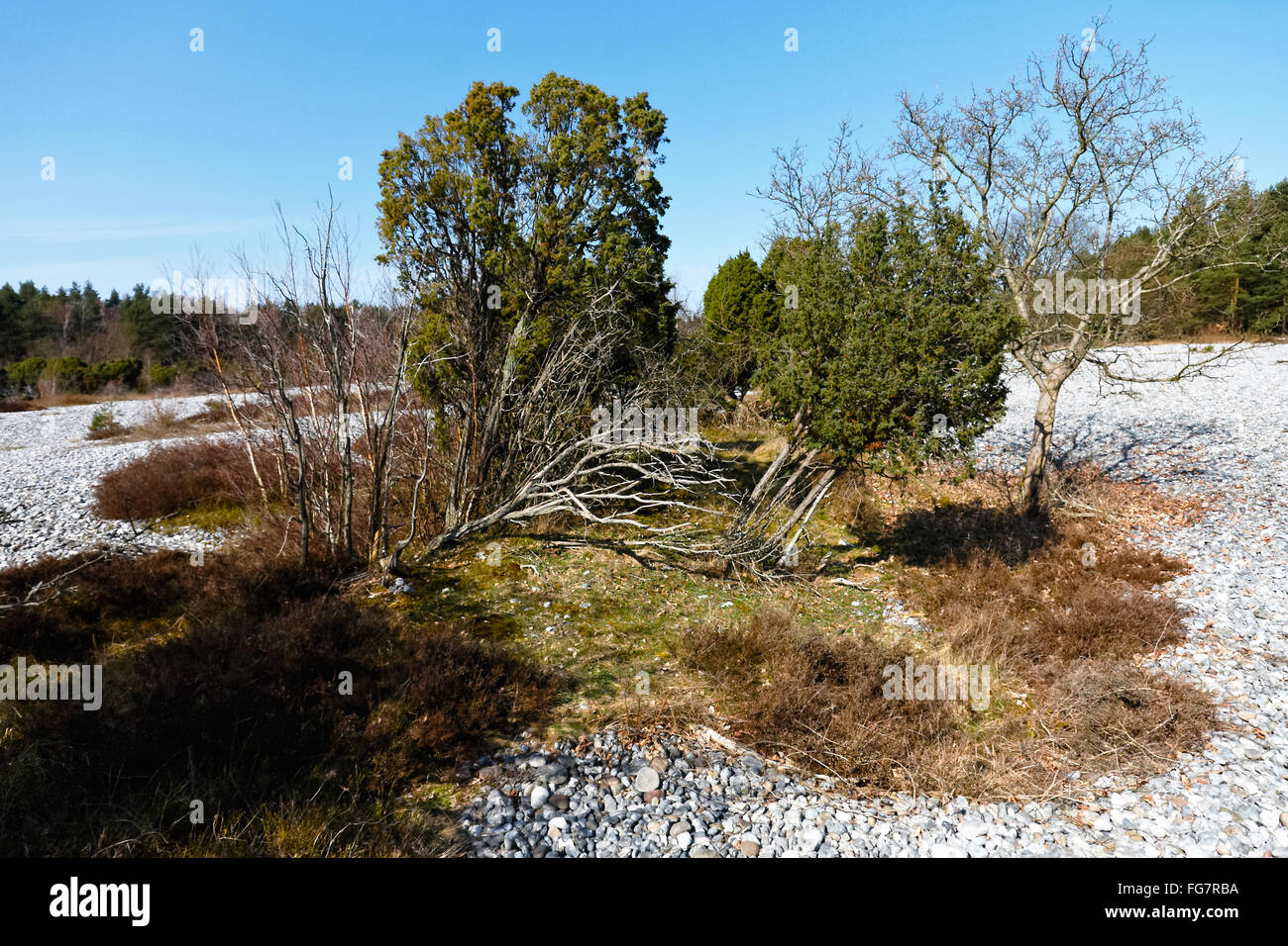 Sonderurlaub hi-res stock photography and images - Alamy