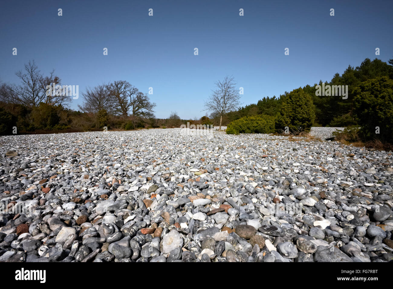 Ruegen flint fields hi-res stock photography and images - Alamy