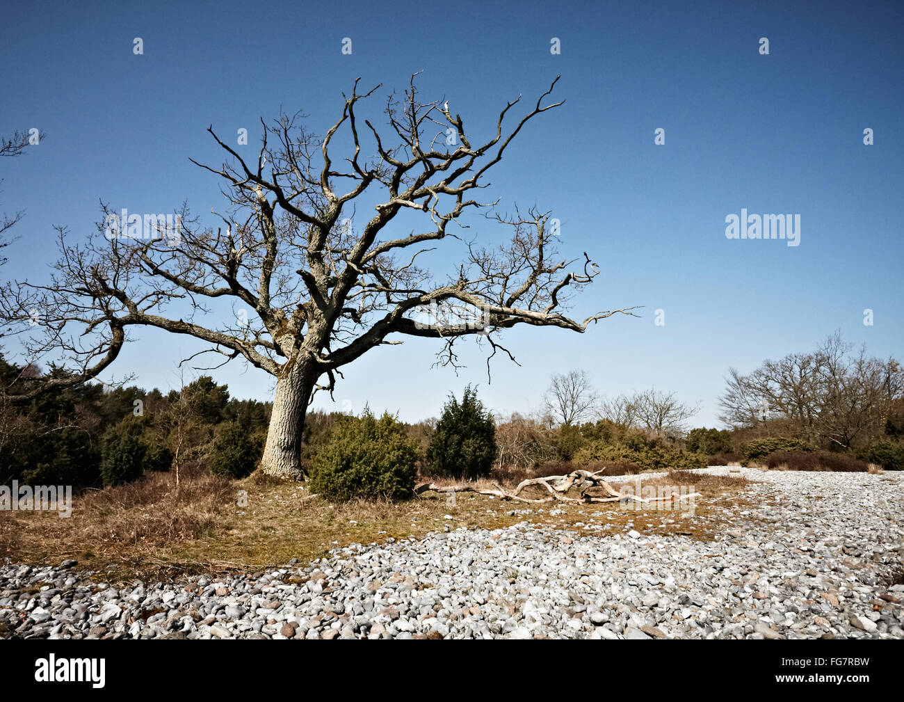 Sonderurlaub hi-res stock photography and images - Alamy