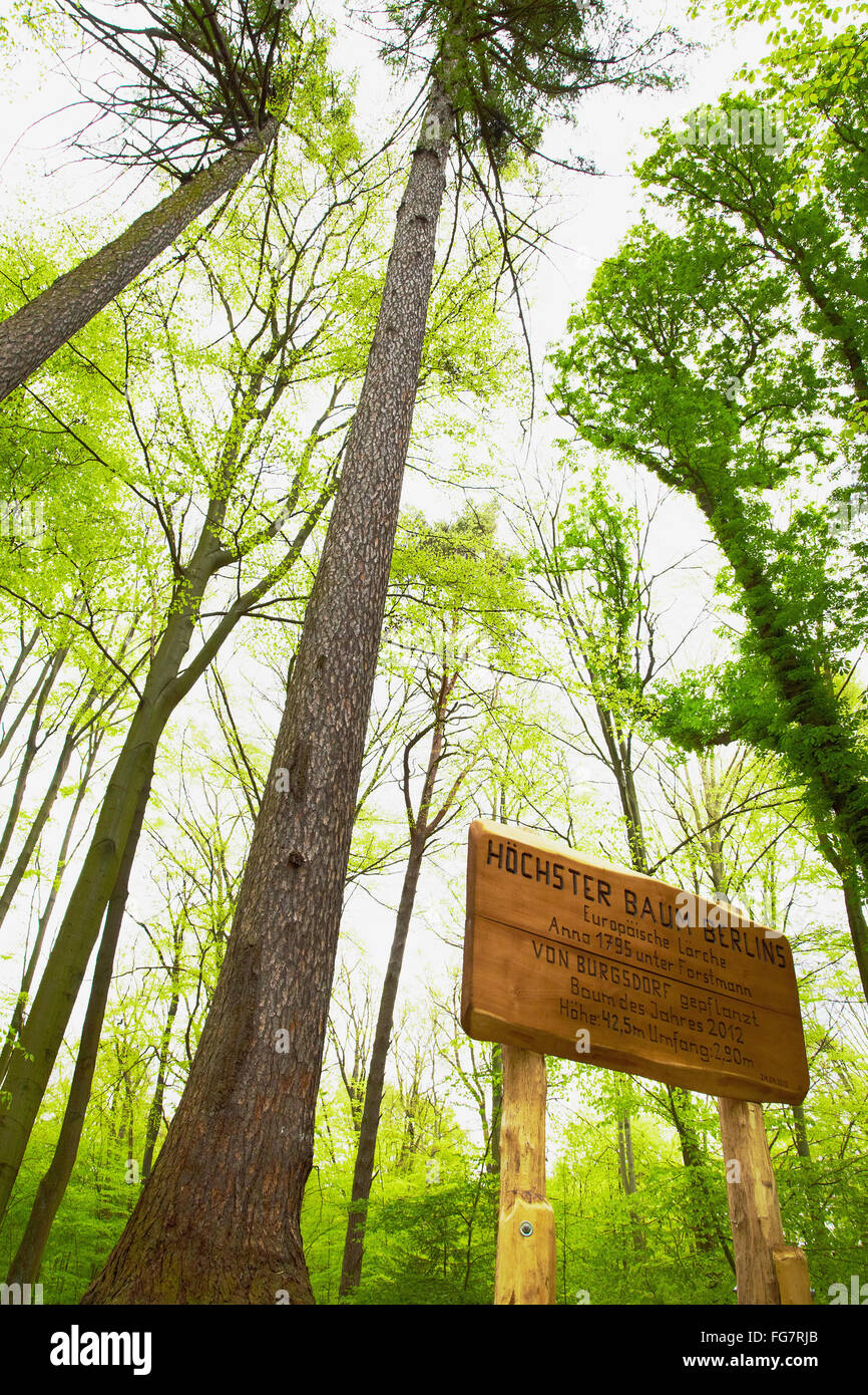 Berlin teg hi-res stock photography and images - Alamy