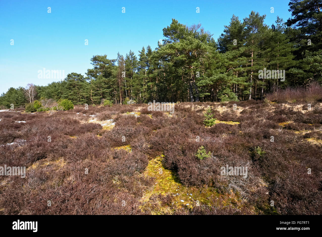 M flint hi-res stock photography and images - Alamy