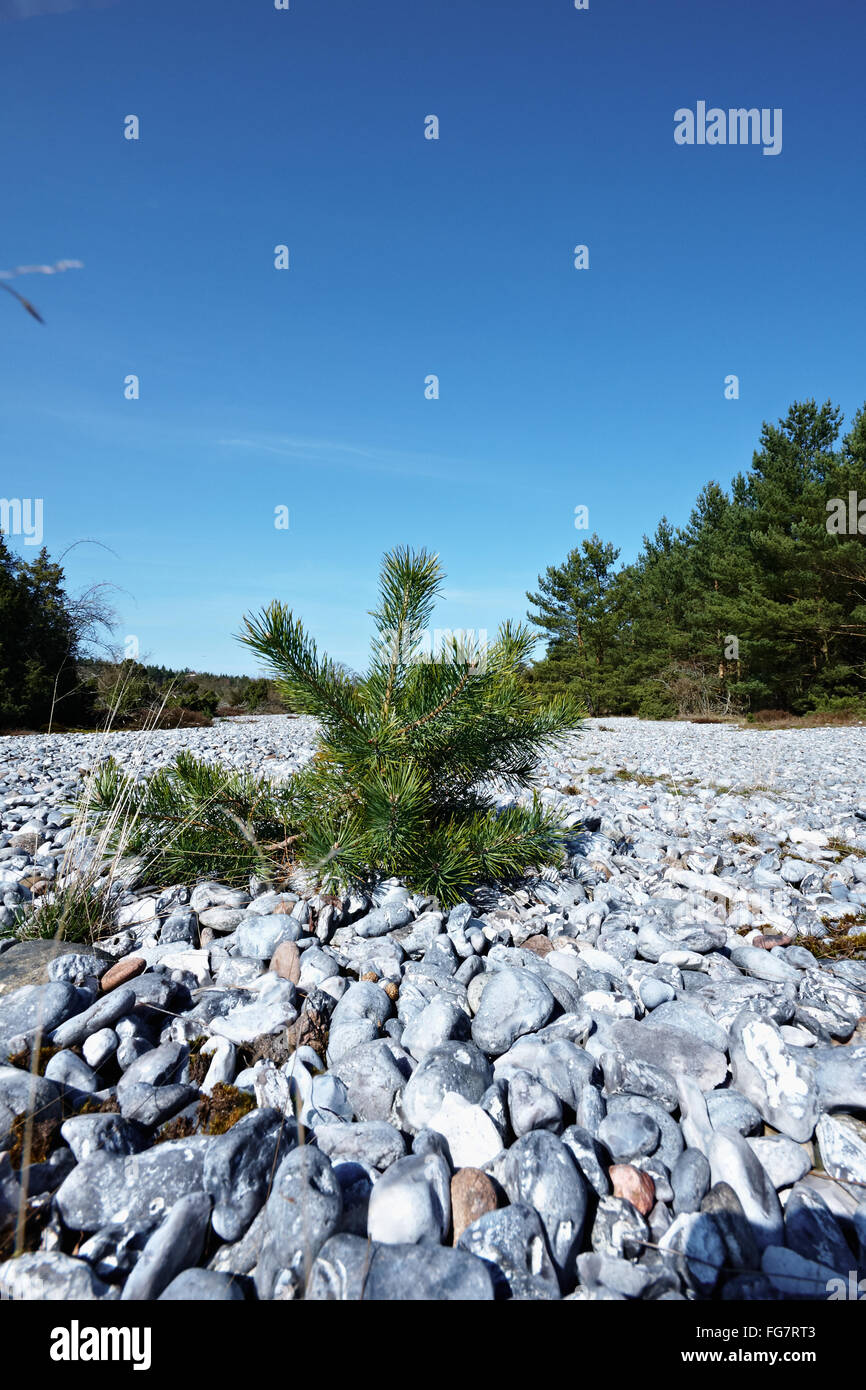 Sonderurlaub hi-res stock photography and images - Alamy