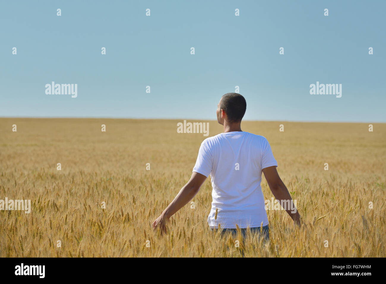 man in wheat field Stock Photo - Alamy