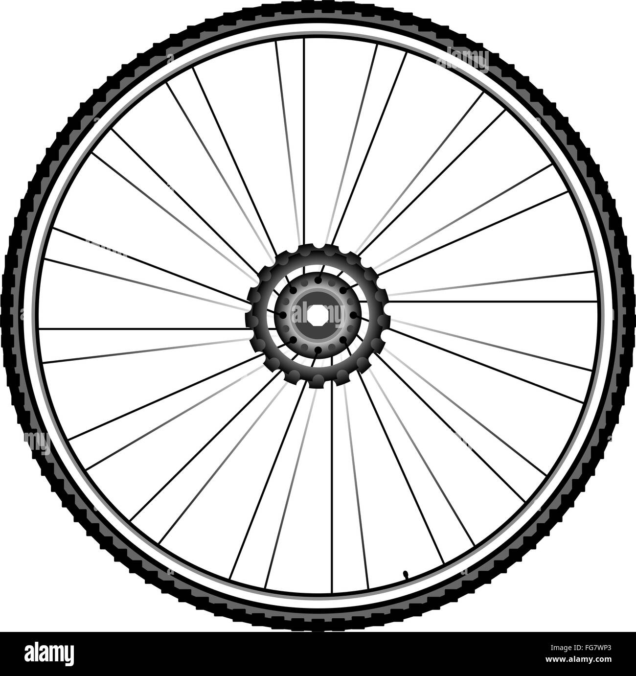Bike wheel - vector illustration isolated on white background Stock ...