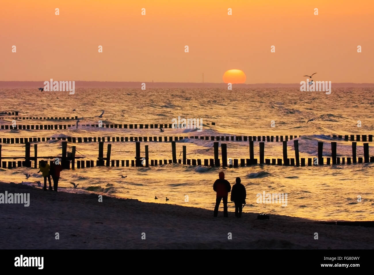 Zingst autumn hi-res stock photography and images - Alamy