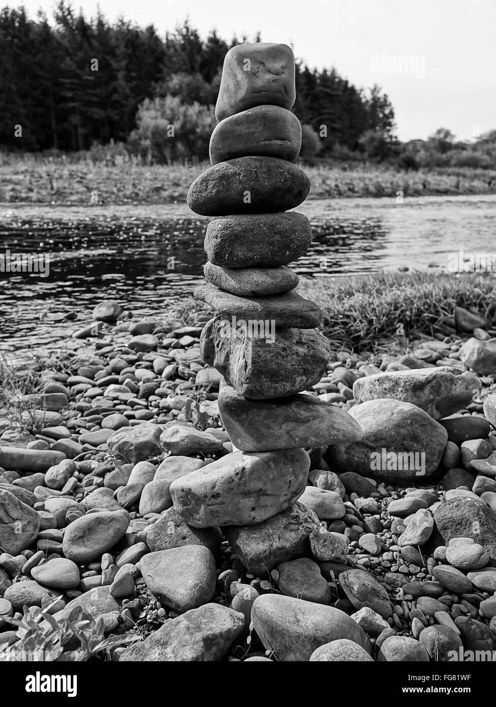 Focus stacked image Black and White Stock Photos & Images - Alamy