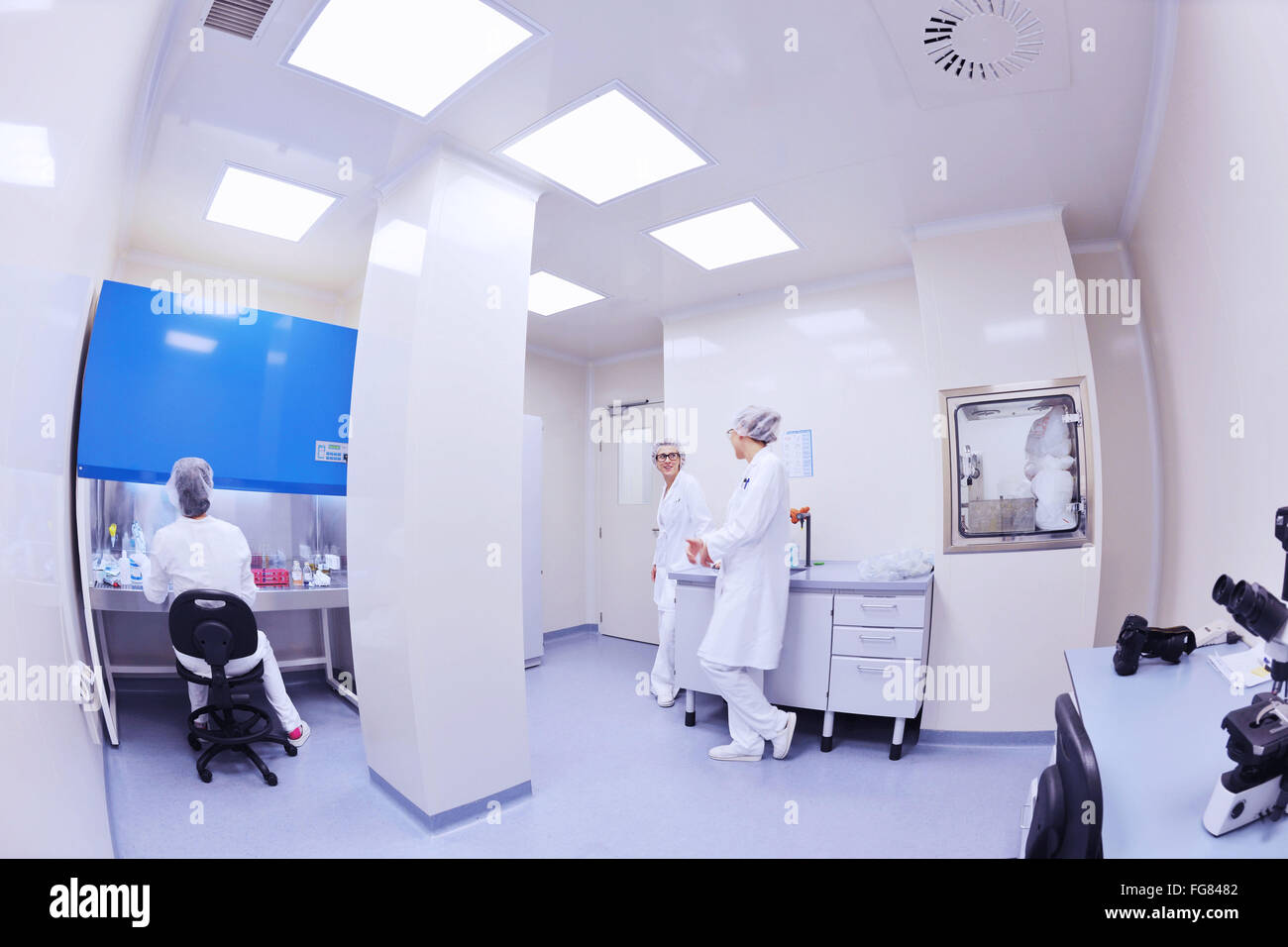 scientists working at the laboratory Stock Photo - Alamy