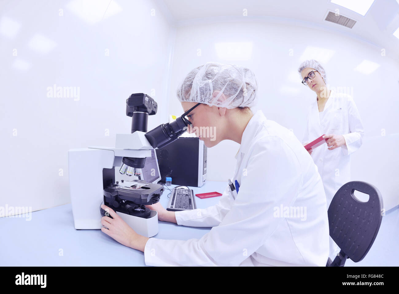 scientists working at the laboratory Stock Photo - Alamy