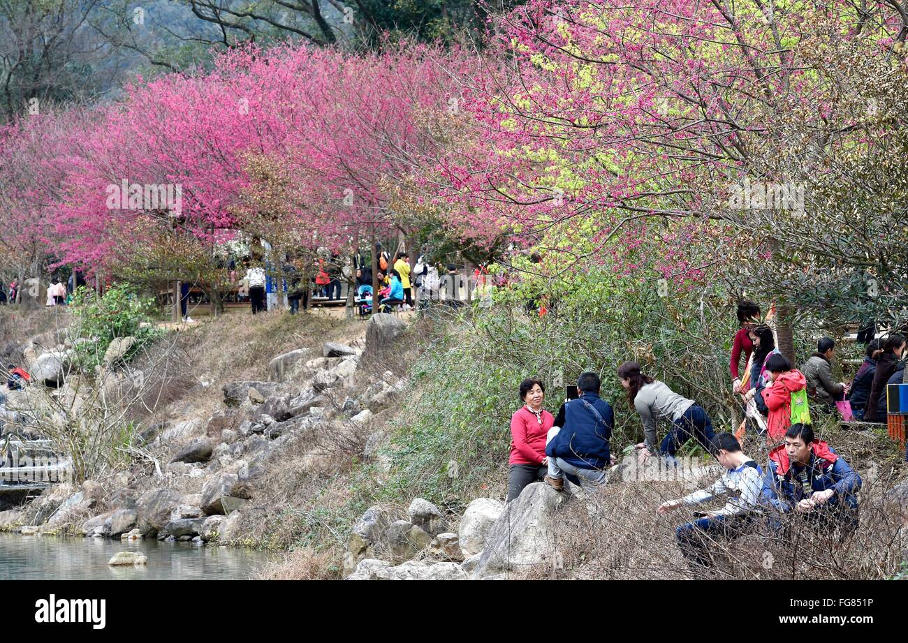 Fuzhou, China's Fujian Province. 18th Feb, 2016. Visitors enjoy flowers ...