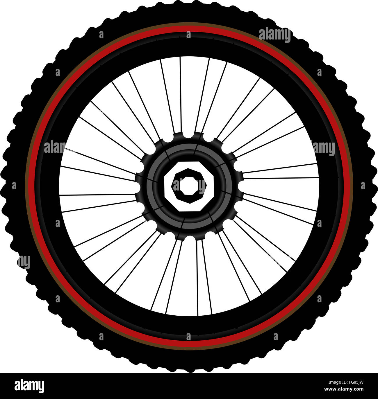 Front wheel of a mountain bike isolated on white background Stock Photo ...