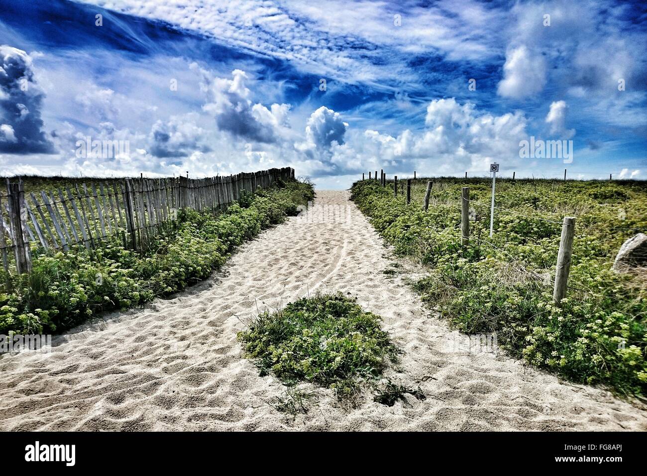 Sandy Pathway Amidst Plants Against Cloudy Sky Stock Photo - Alamy