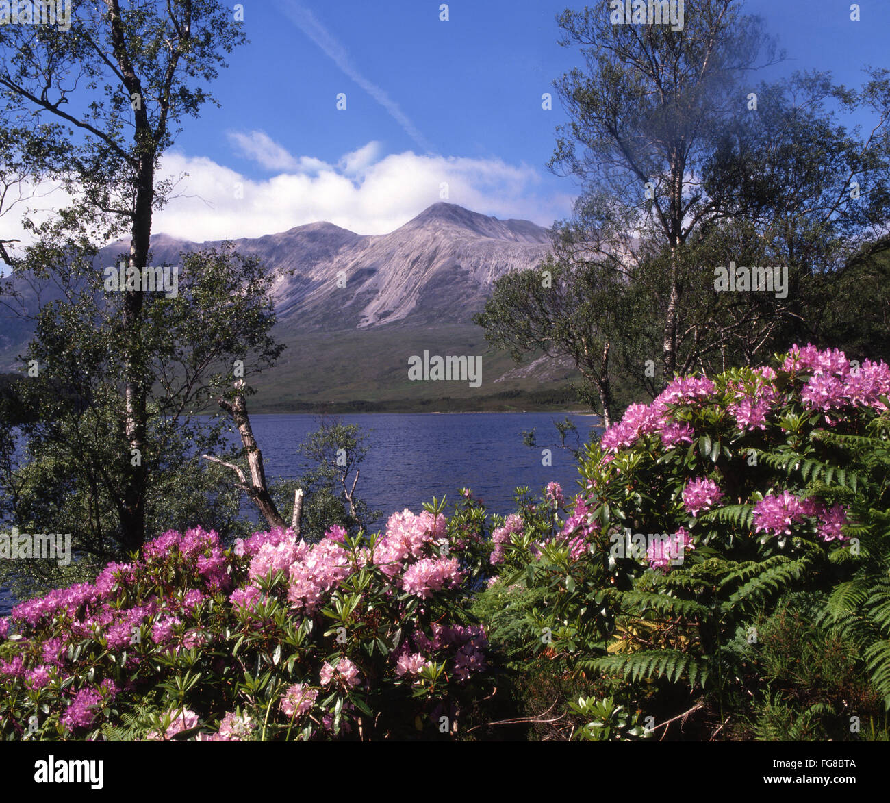 Spring view of Beinn Eighe, Torridon, N/W Highlands Stock Photo - Alamy
