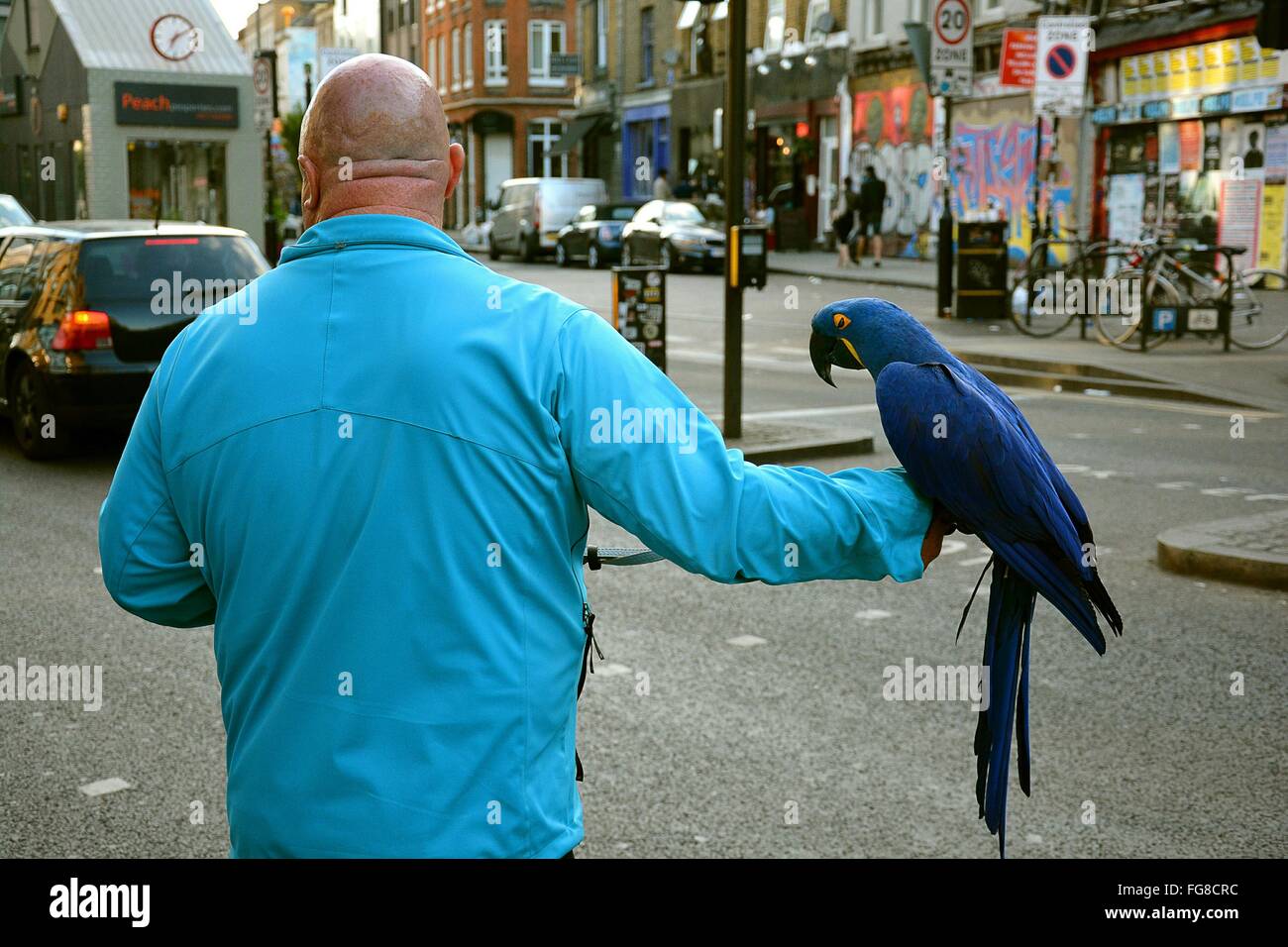 Rear View Shaved Head High Resolution Stock Photography and Images - Alamy