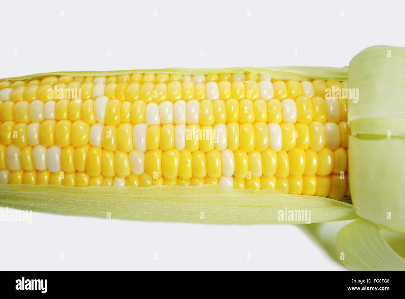 Fresh Organic Corn on the Cob Stock Photo - Alamy Fresh Organic Corn on the Cob Stock Photo - Alamy