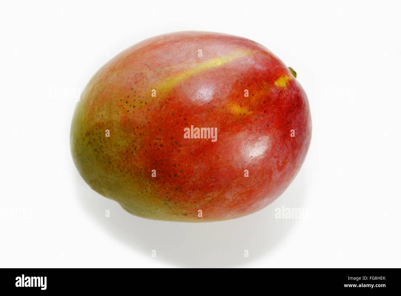 Ripe Mango Fruit Isolated Over White Stock Photo - Alamy