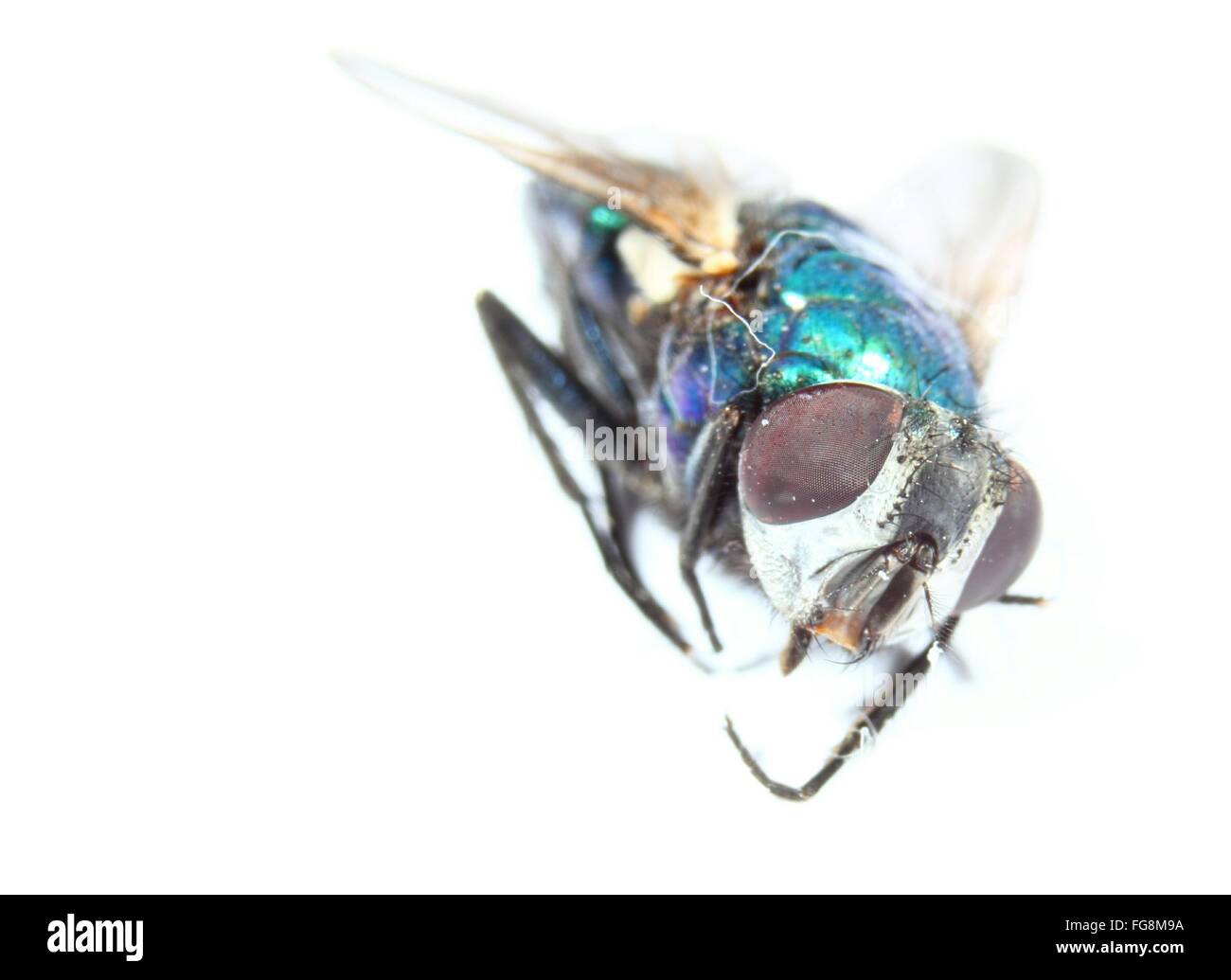 Fly over hi-res stock photography and images - Alamy
