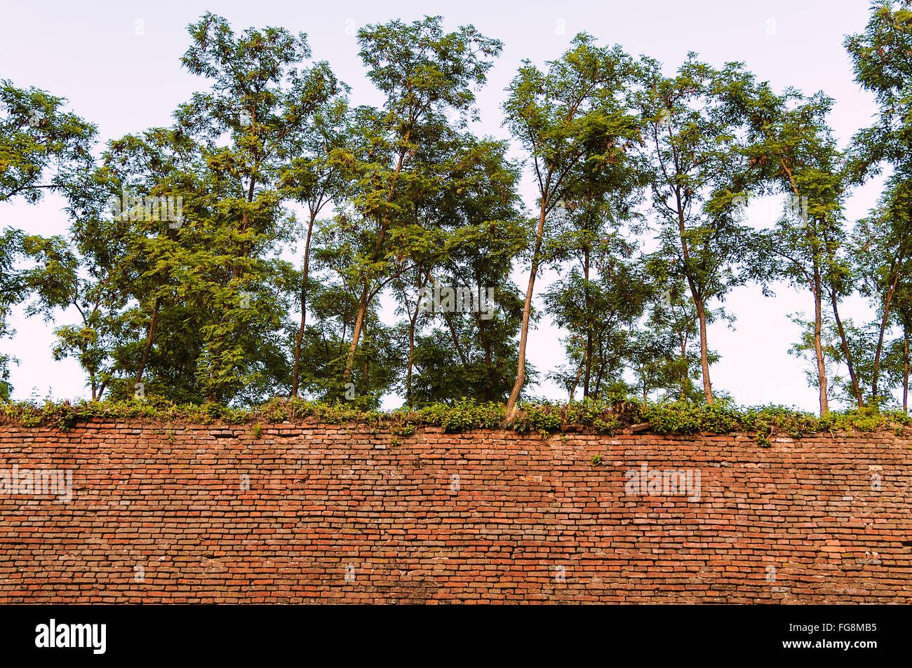 Brick Wall Against Trees Stock Photo - Alamy
