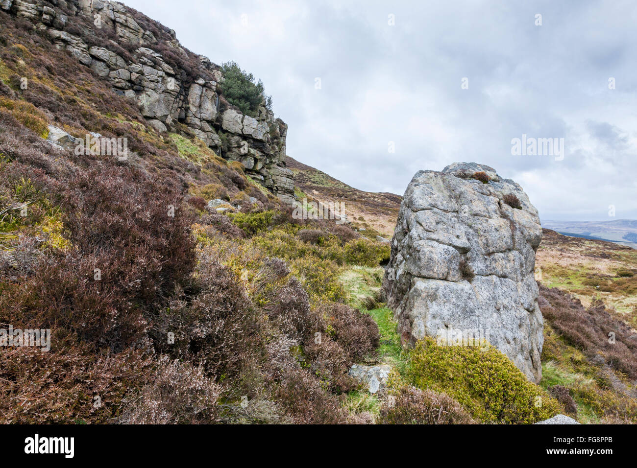 Dark Peak moorland. Gritstone rock on Crookstone Out Moor at the foot ...