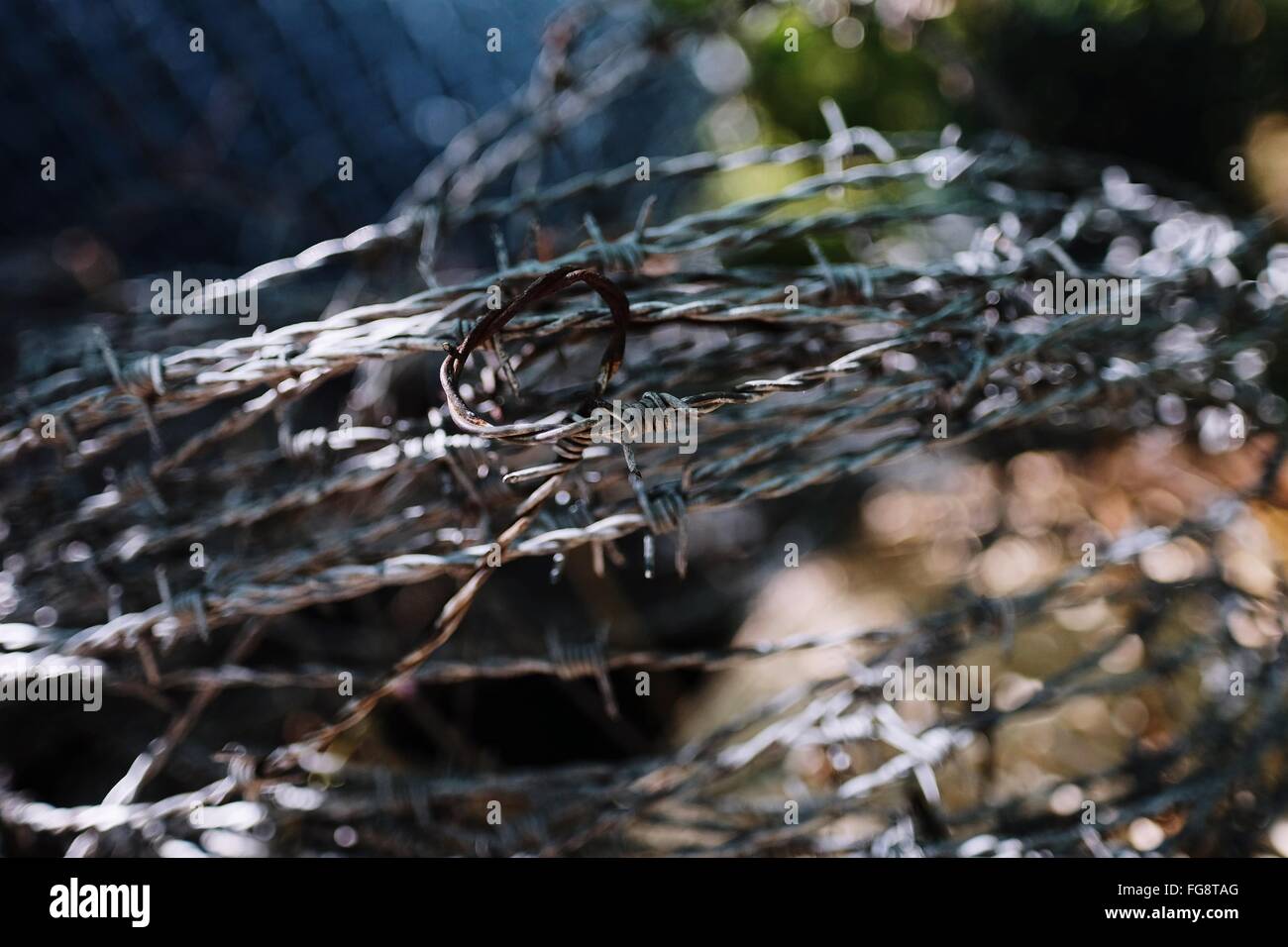 Close-Up Of Tangled Barbed Wire On Field Stock Photo - Alamy