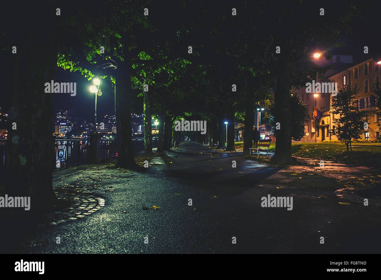 Road Amidst Trees At Night Stock Photo - Alamy