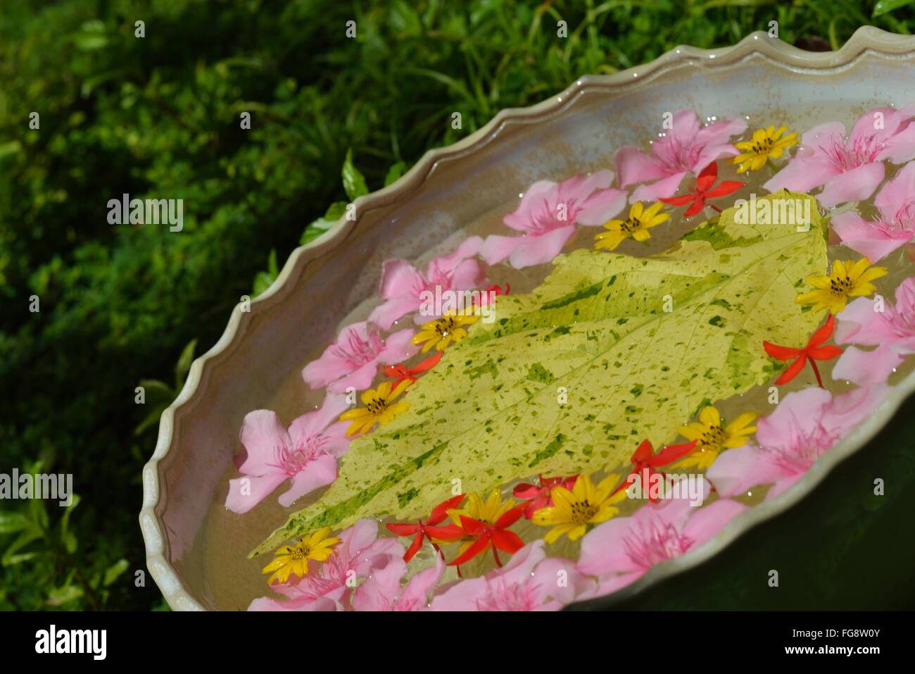water cup with beautiful flowers background Stock Photo - Alamy