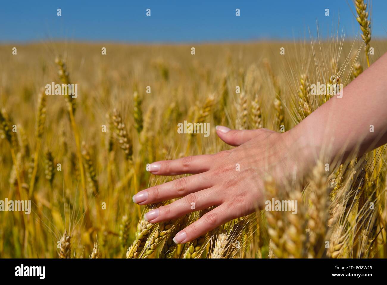 Crop field art hi-res stock photography and images - Alamy