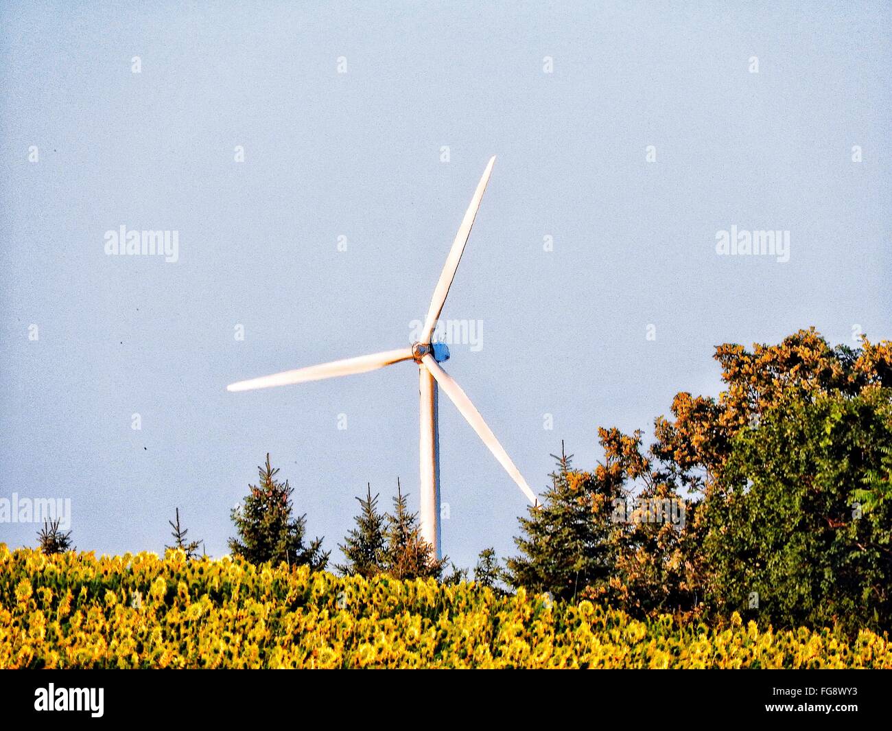 Farmers windmill hi-res stock photography and images - Alamy