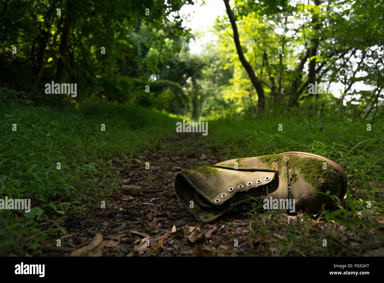 Moss on shoe hi-res stock photography and images - Alamy