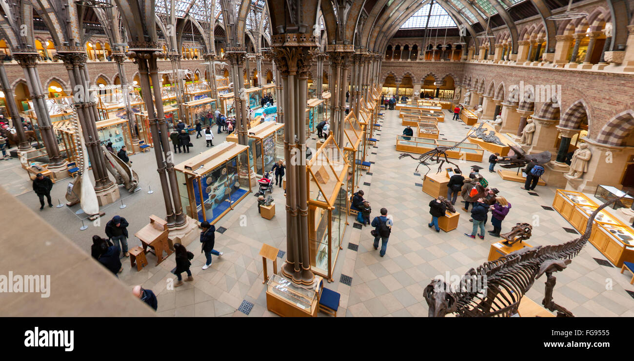 Panoramic photo from a high elevated position of main gallery of The Oxford University Museum of ...