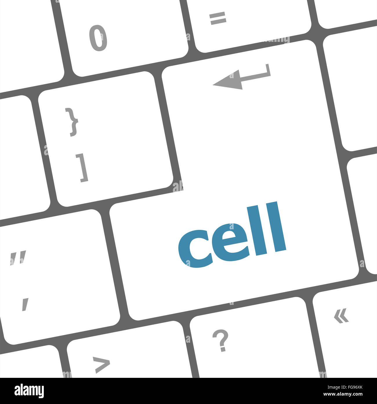 cell word on keyboard key, notebook computer button Stock Photo - Alamy
