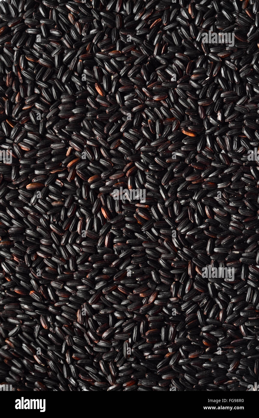 Uncooked, organic Black Rice, also known as Forbidden Rice Stock Photo ...