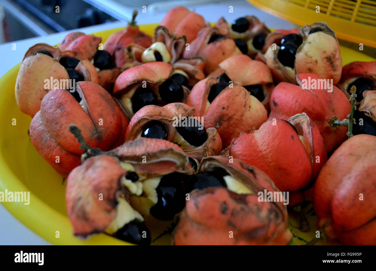 Ackee fruit hi-res stock photography and images - Alamy