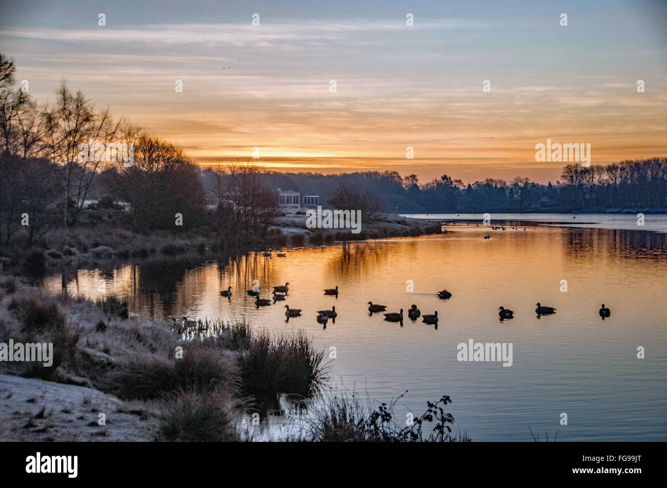 Sunrise over Powell's Pool, Sutton Park, West Midlands, UK Stock Photo ...