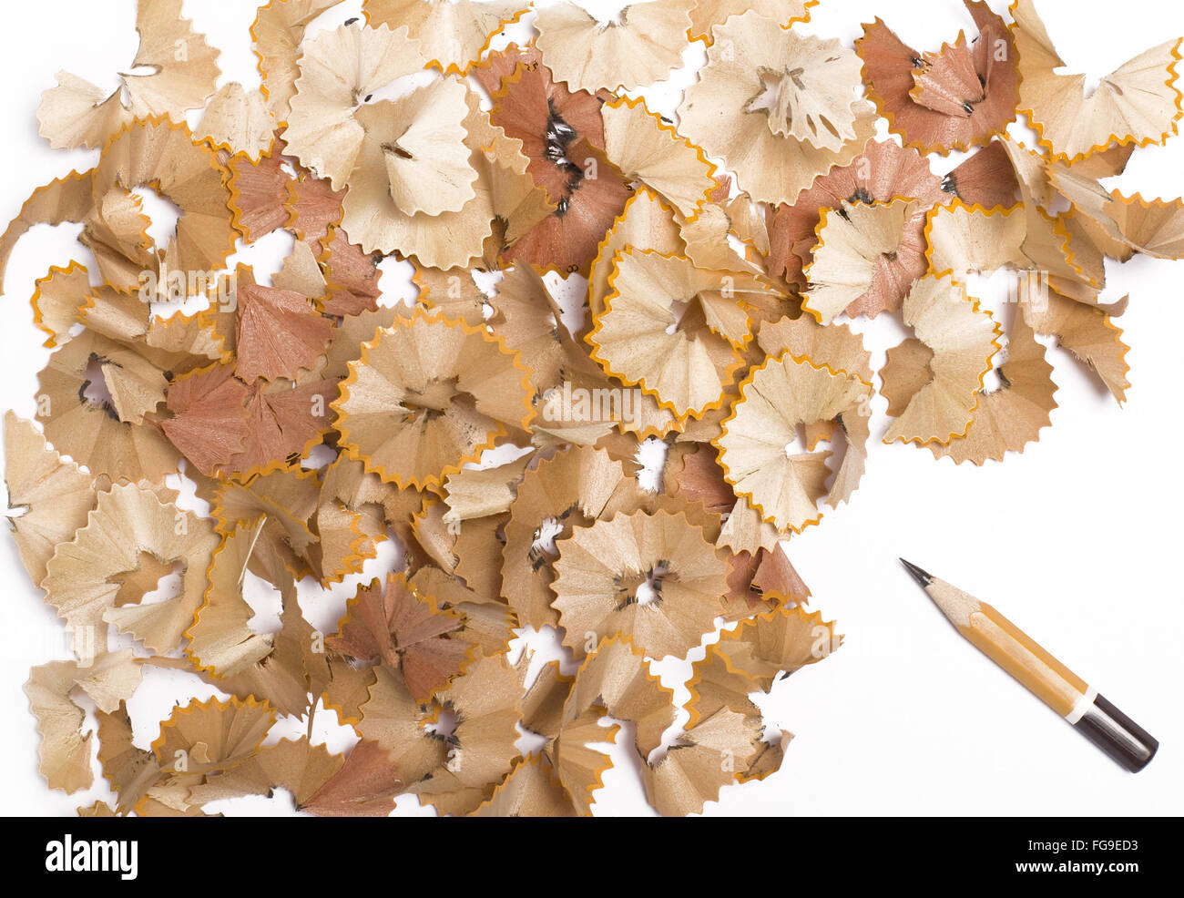 Top view of a small pencil near sharpening wood shards isolated on ...