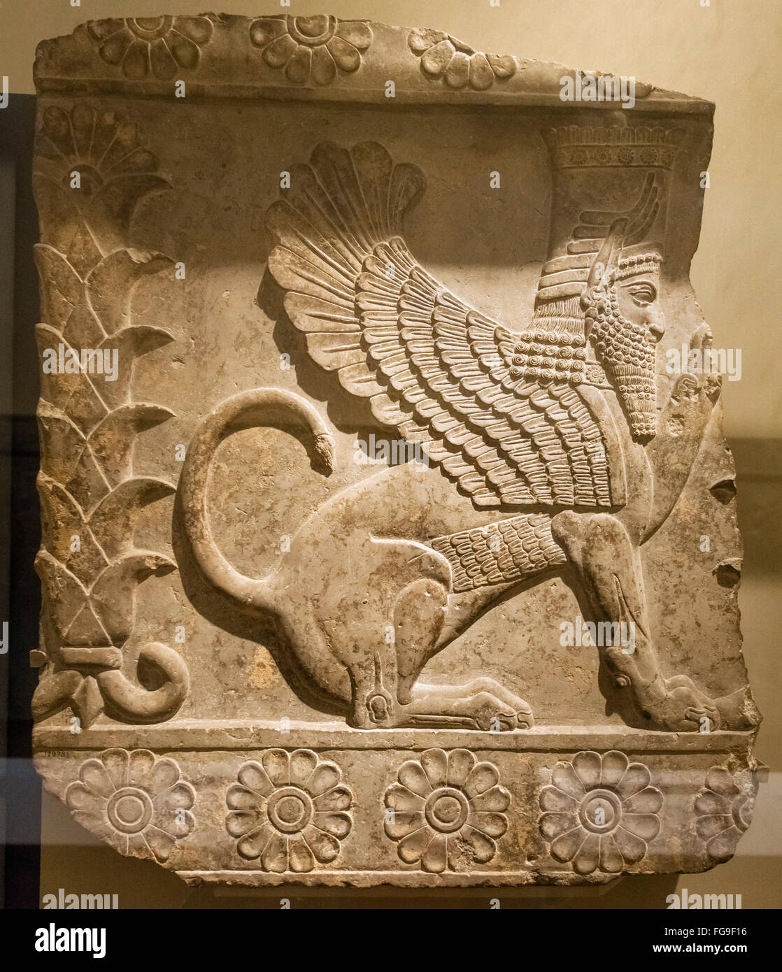 Sphinx Creature Male