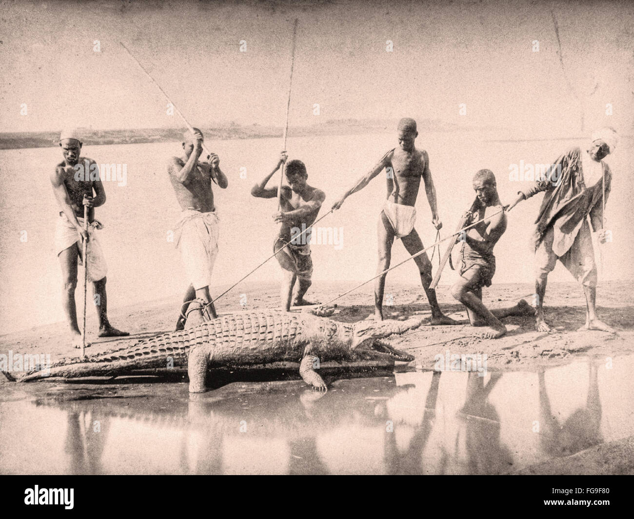 Crocodile hunting at the Nile 1880 - egypt Stock Photo - Alamy