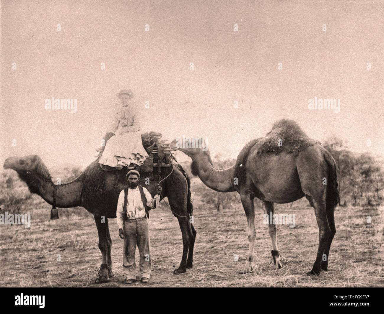 Afghan camel drivers in Queensland Australia Stock Photo - Alamy