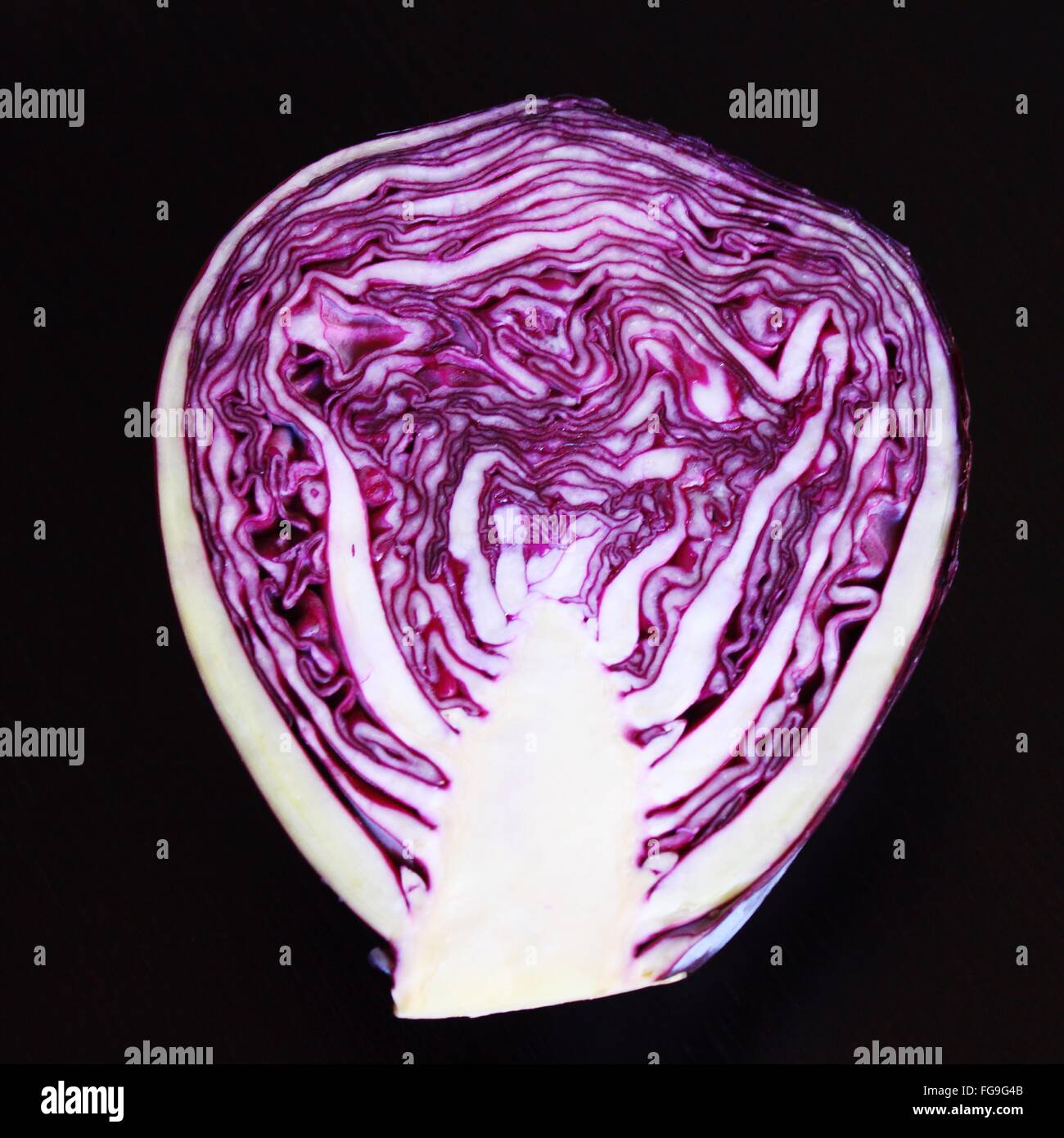 Cross Section Close Up Red Cabbage High Resolution Stock Photography ...