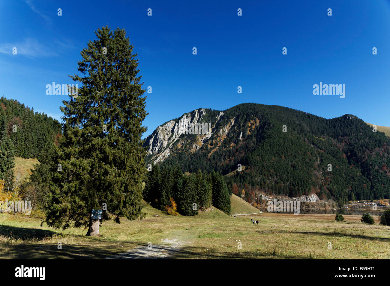 geography / travel, Germany, Bavaria, Mangfall Mountains, Lake Spitzing ...