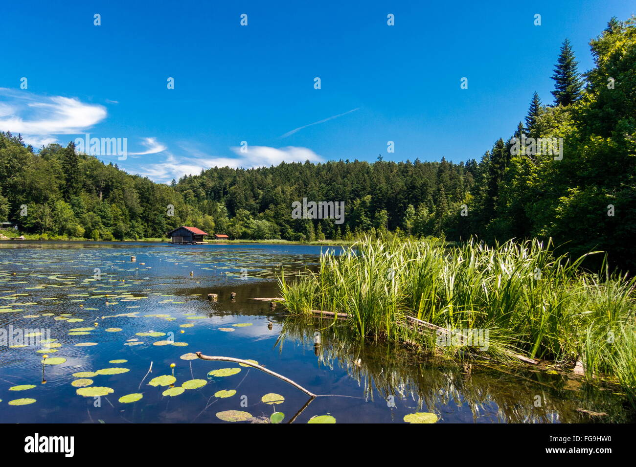 geography / travel, Germany, Bavaria, Hackensee (Lake Hacken ...